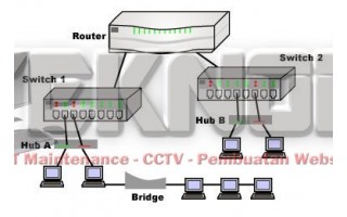 Perbedaan Hub, Switch, Bridge, Repeater, dan Router